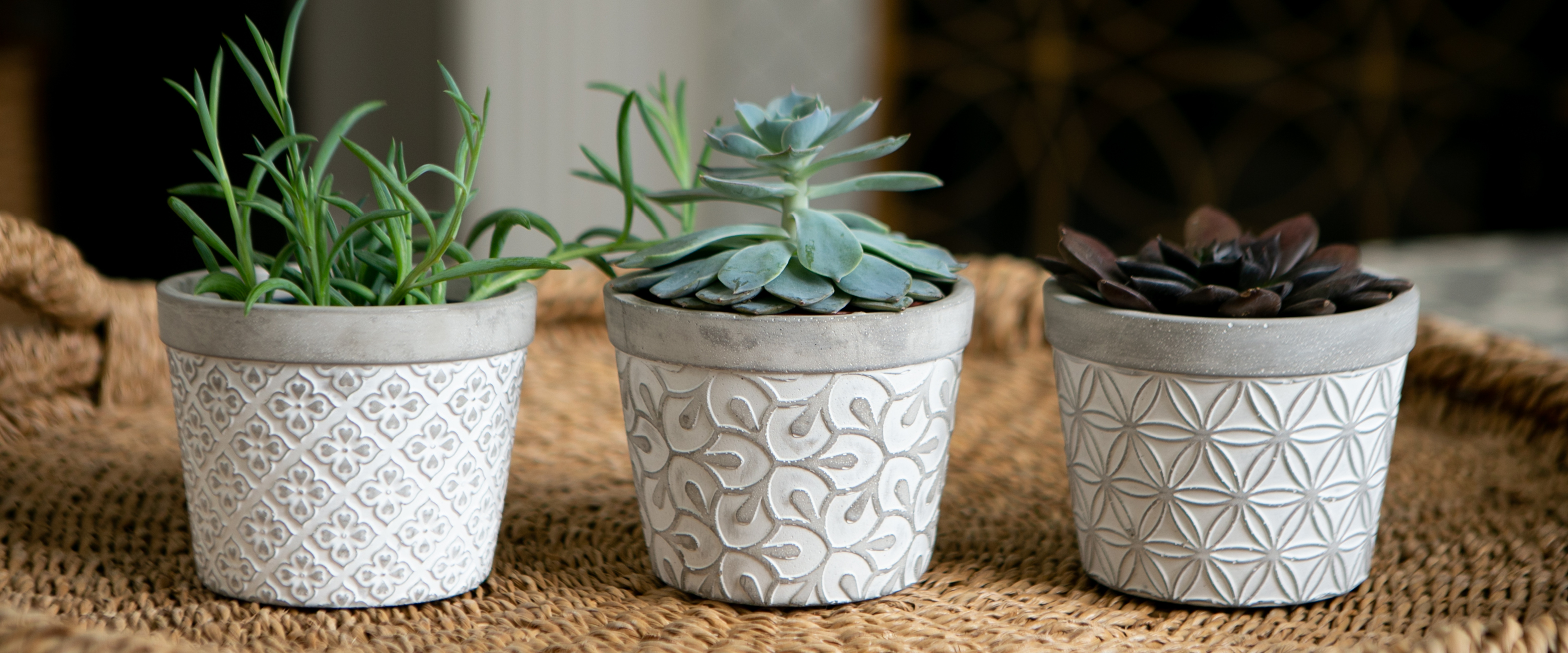 Home | Jackson Pottery