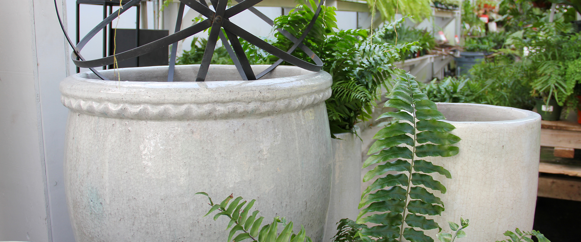 Home | Jackson Pottery