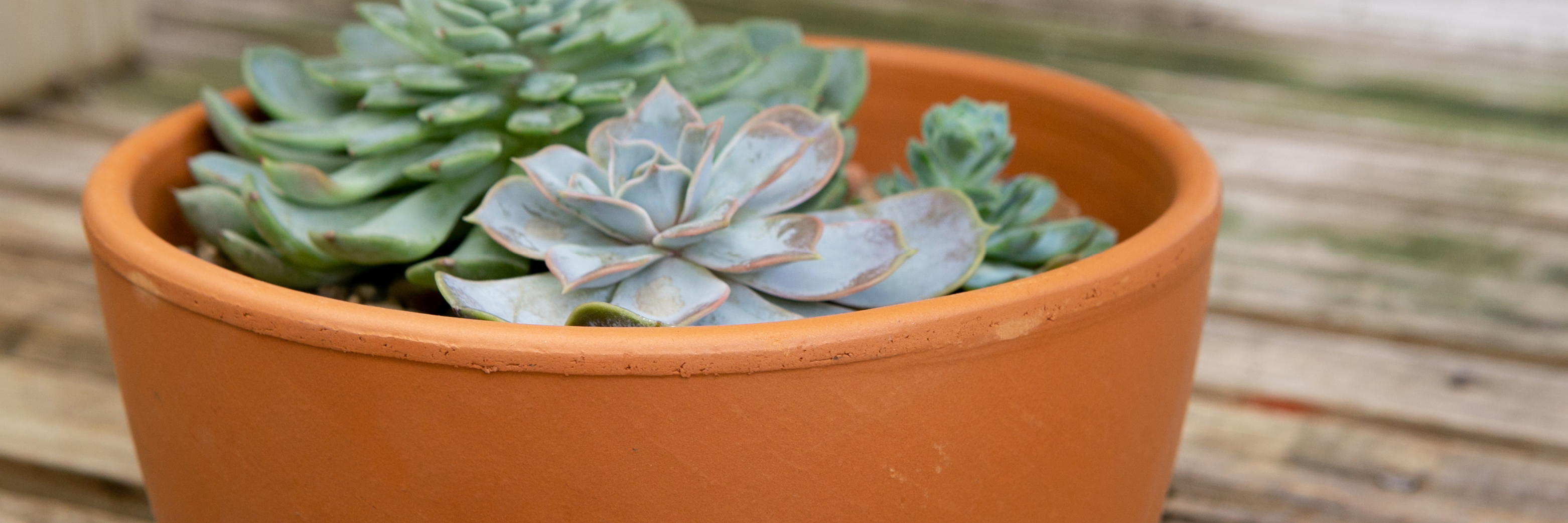 Home | Jackson Pottery